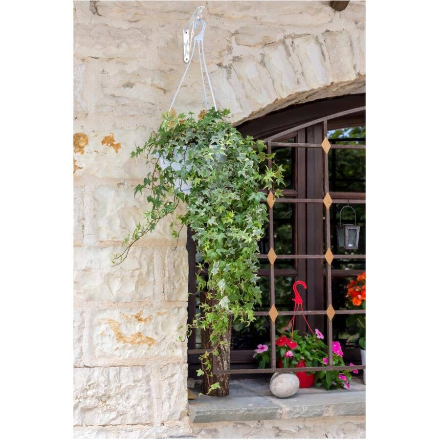 ONWARD 10" Decorative White Ornamental Shelf Bracket | Home Hardware