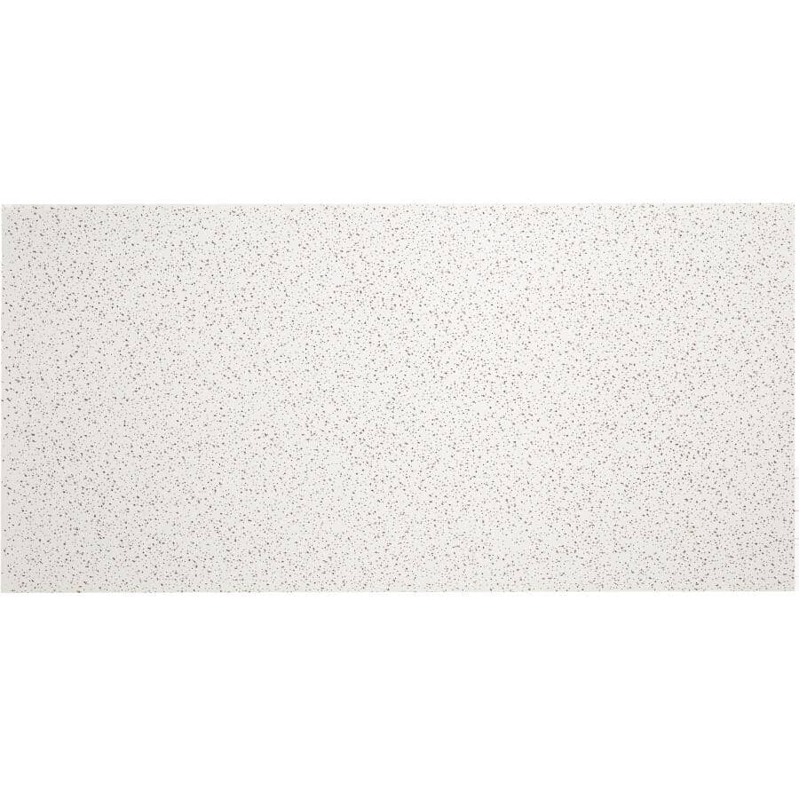CGC 2' x 4' Radar Basic Mineral Fibre Ceiling Panel | Home Hardware