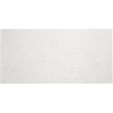 CGC 2' x 4' Radar Basic Mineral Fibre Ceiling Panel | Home Hardware
