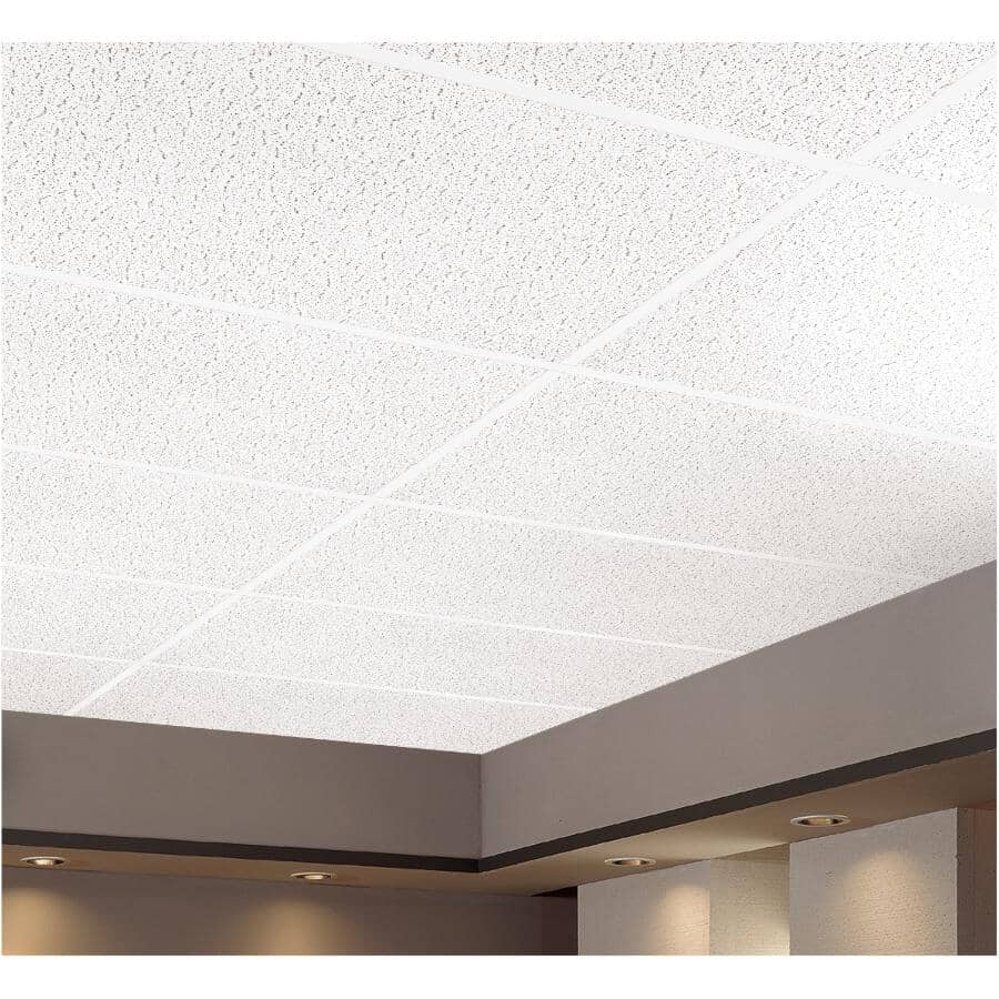 ARMSTRONG CEILINGS 2’ x 4’ Textured Fire Guard Mineral Fibre Ceiling ...