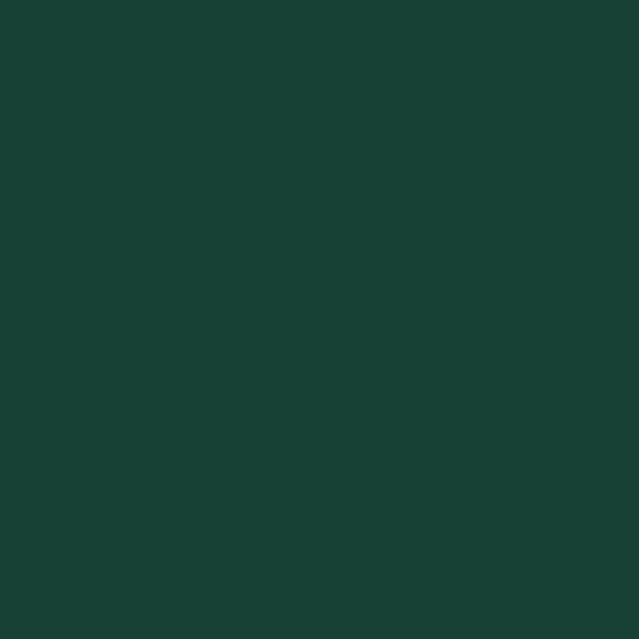 IDEAL ROOFING 29 Gauge Forest Green Metal Roofing | Home Hardware