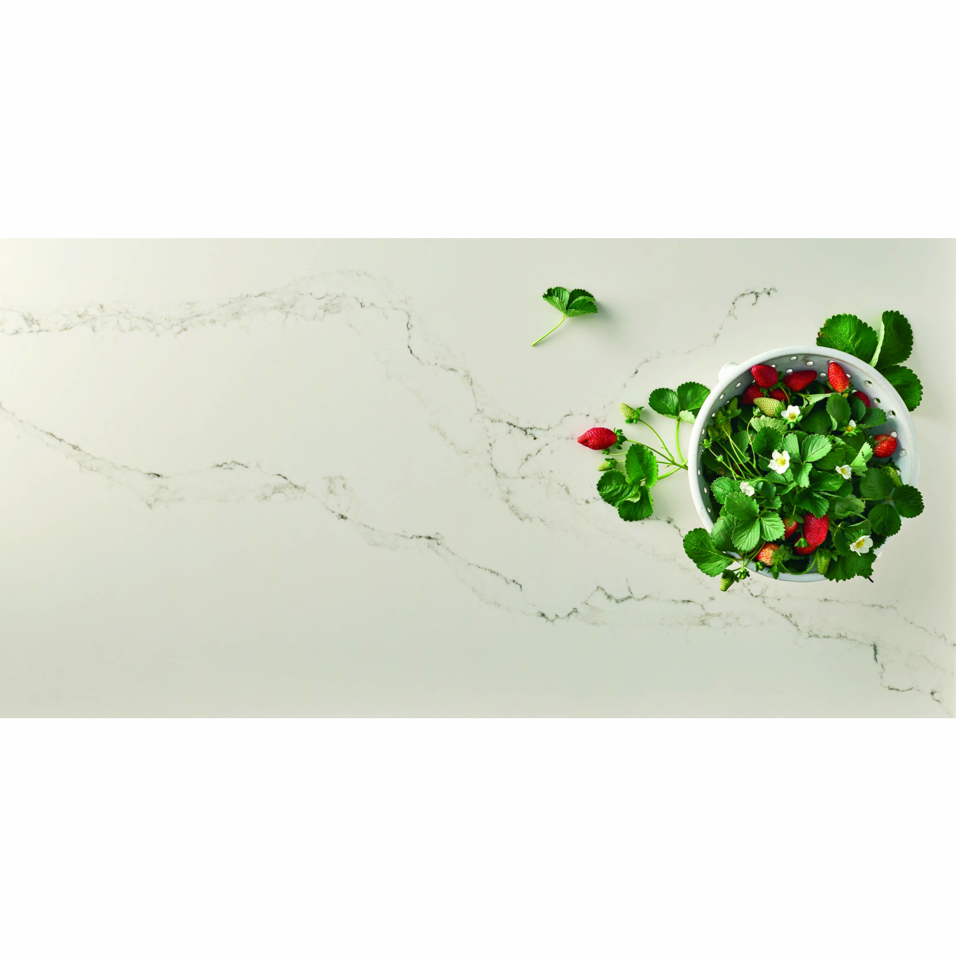 CAESARSTONE Statuario Nuvo Quartz Countertop | Home Hardware