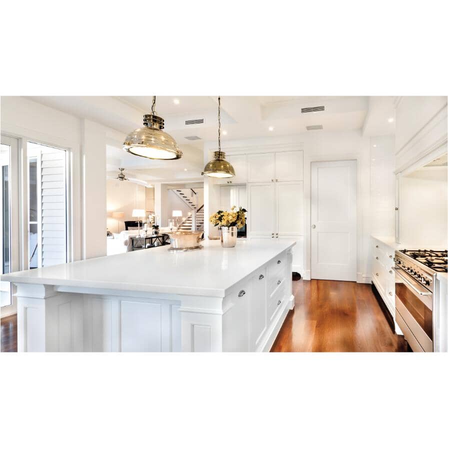 MASONITE Logan Slab Door - 30" x 80" | Home Hardware