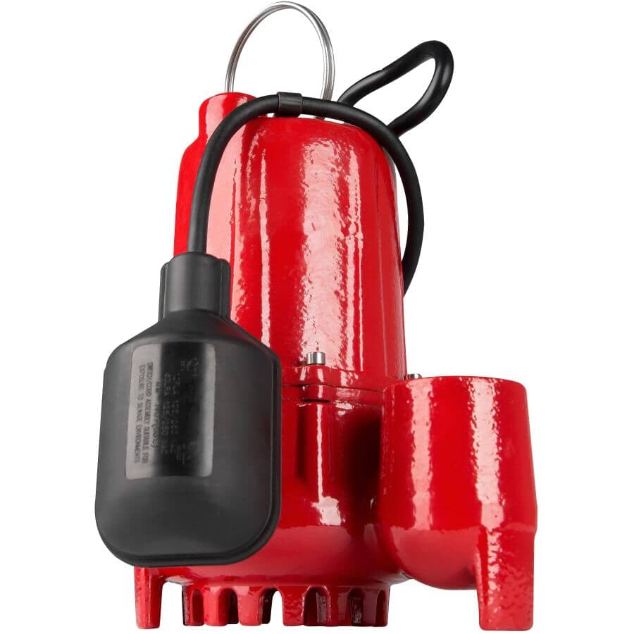 RED LION 1/3 HP Cast Iron Sump or Effluent Pump | Home Hardware