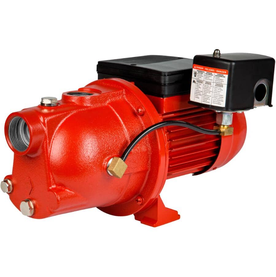 RED LION Pompe à jet de 1/2 HP en fonte pour puits peu profond, 115 V ...