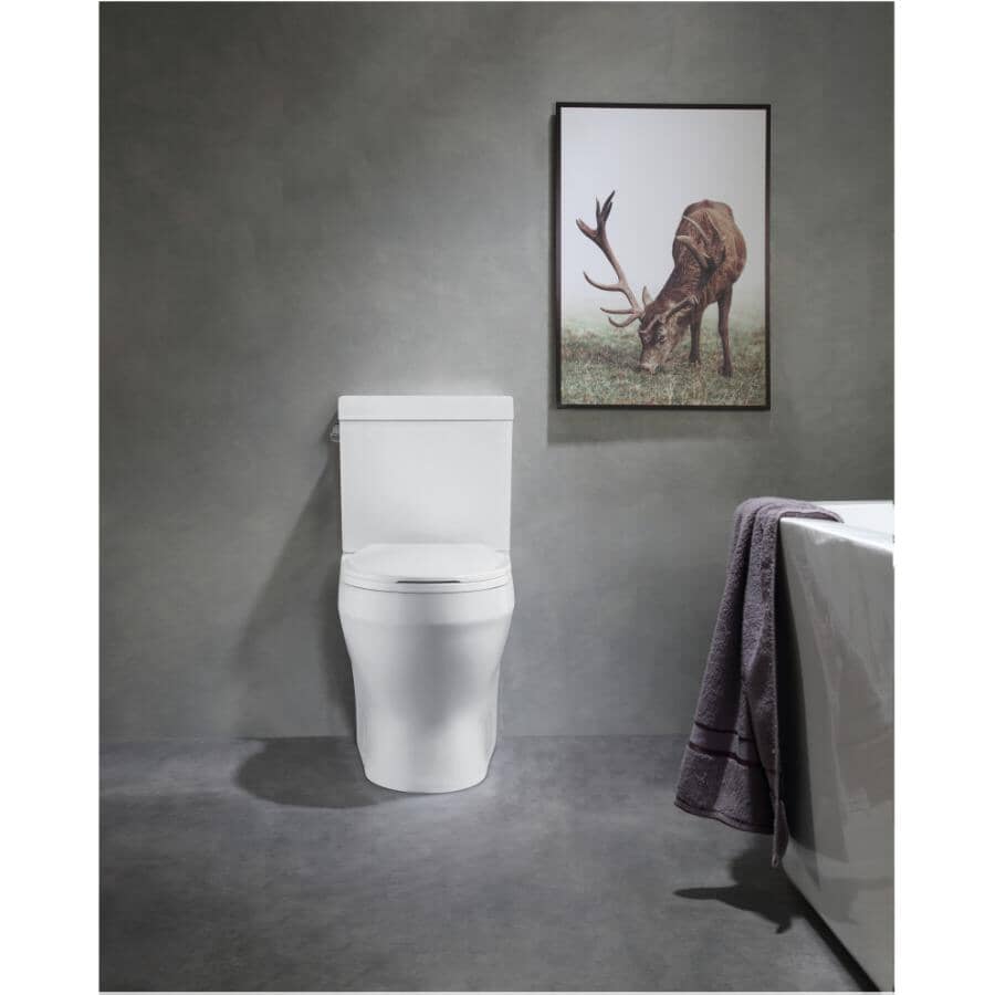 CHELINI 4.8 L Kalie Elongated Toilet | Home Hardware
