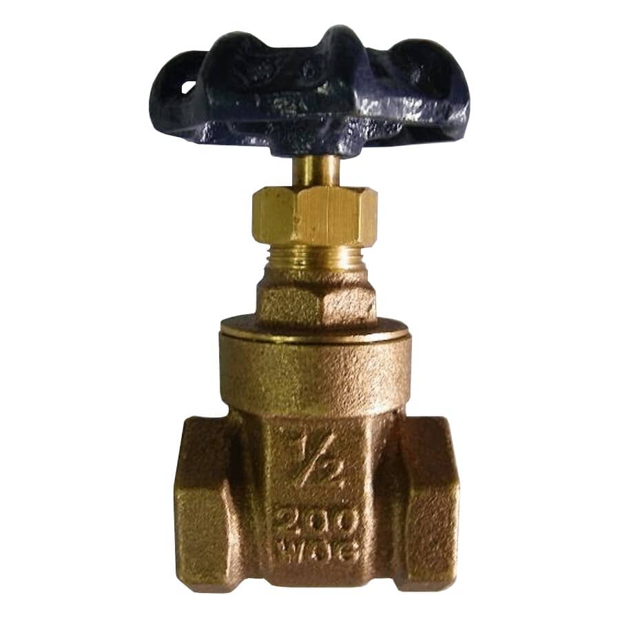 PROJEX 1/2" IPS Brass Gate Valve | Home Hardware
