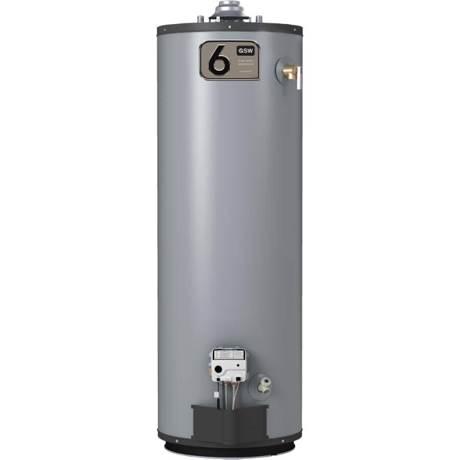 GSW 33 Gallon Flammable Vapour Ignition Resistance Natural Gas Water ...