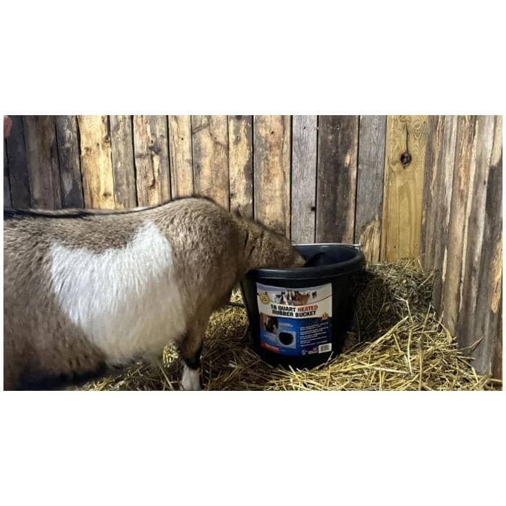 FARM INNOVATORS Rubber Flat Back Heated Bucket | Home Hardware