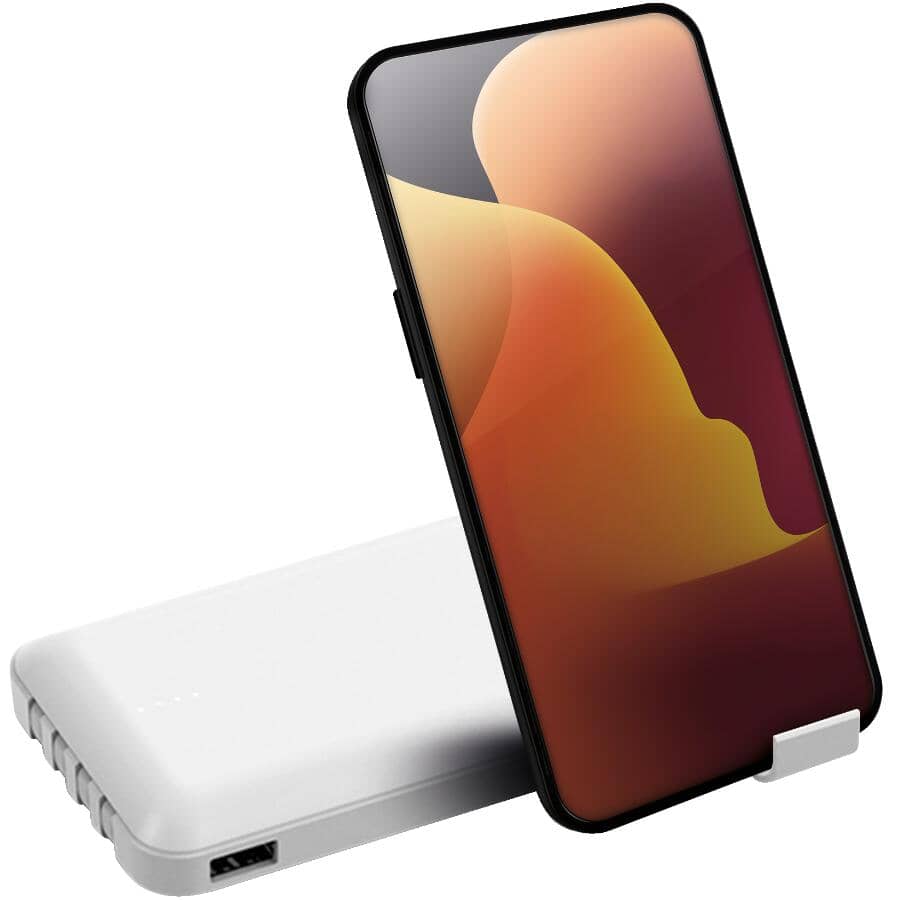 CJ TECH 10,000 mAh Power Bank with Built | Home Hardware