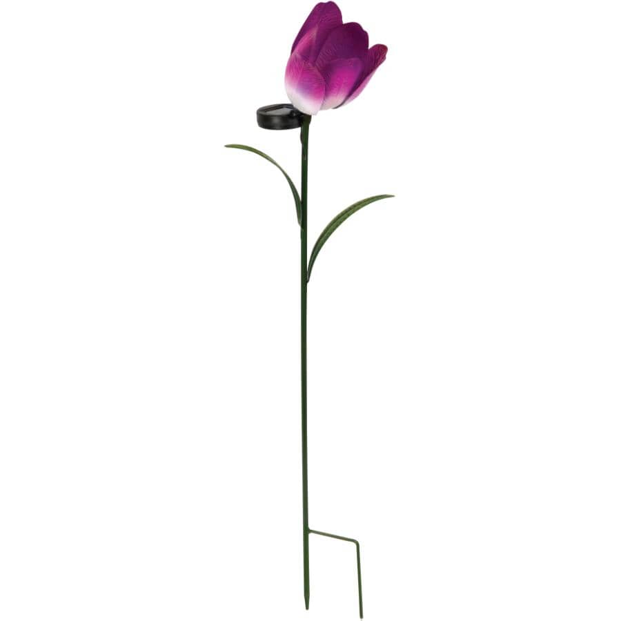 Moonrays Garden Stake 36' Purple Tulip Solar Light | Home Hardware