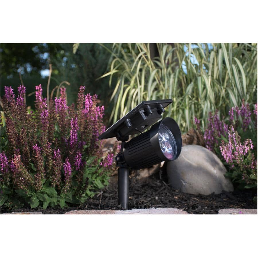 MOONRAYS High | Home Hardware