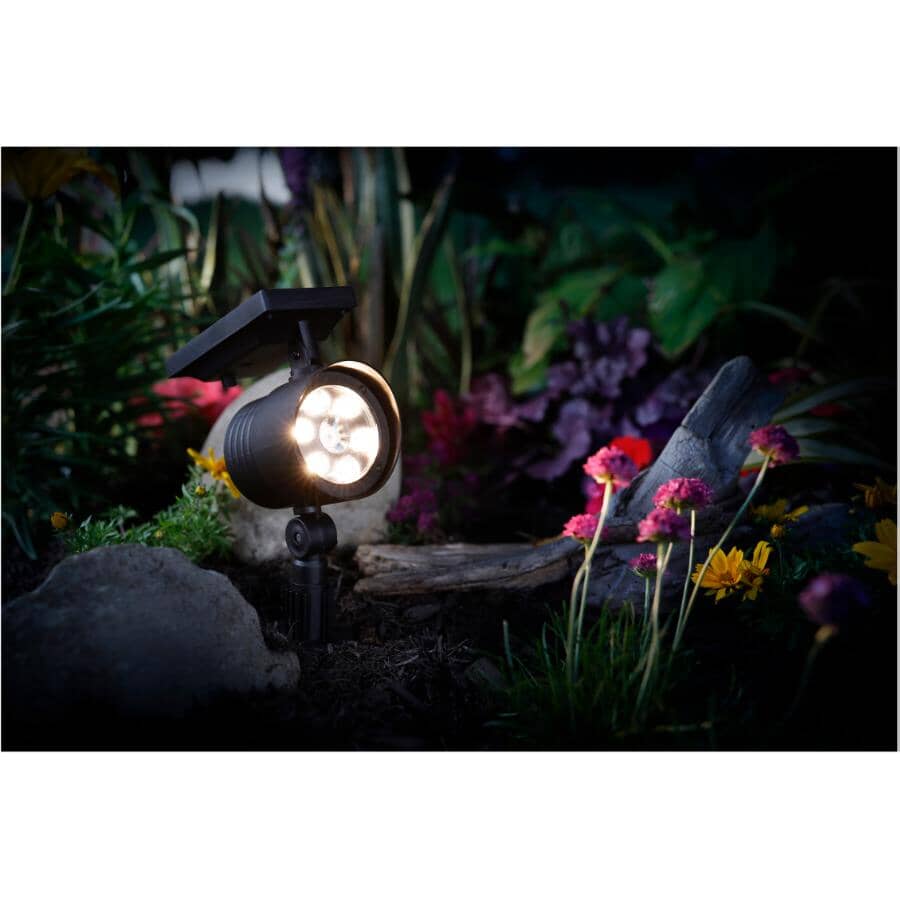 MOONRAYS Solar Spot Light with Bluetooth Function | Home Hardware