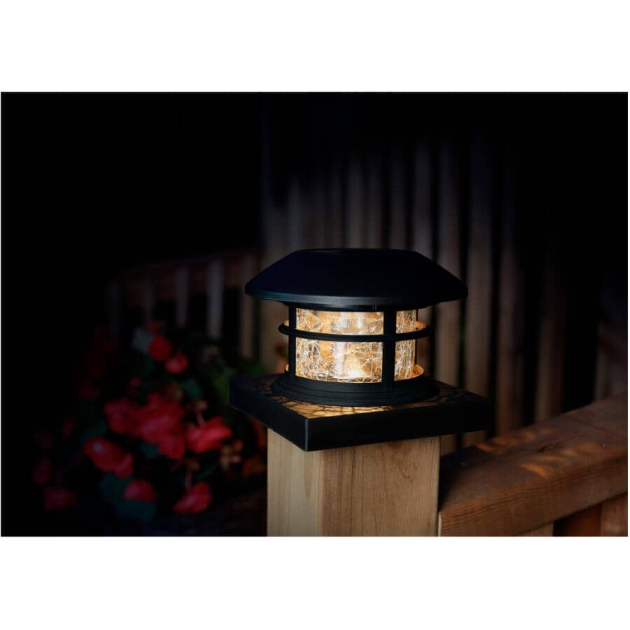 MOONRAYS Solar Fence Post Cap Light with Bubble Glass Lens | Home Hardware