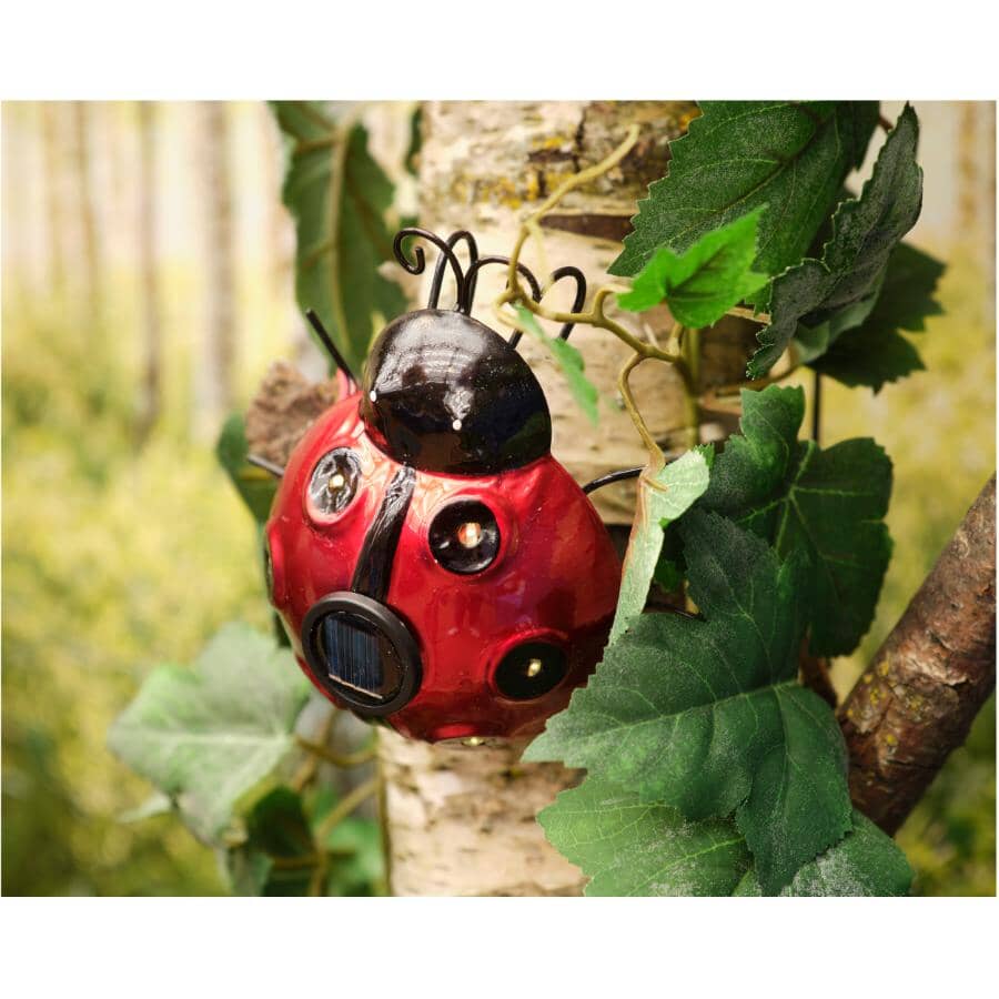 INSTYLE Solar Ladybug Garden Light | Home Hardware