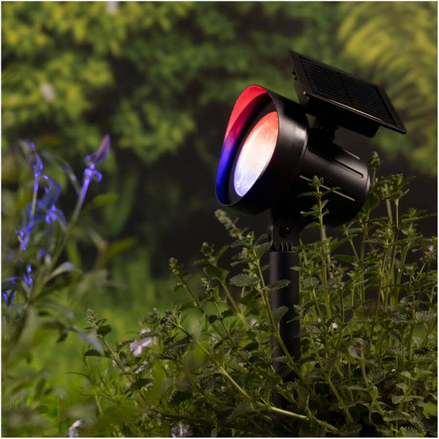 INSTYLE Solar Spotlight Garden Stake Light | Home Hardware