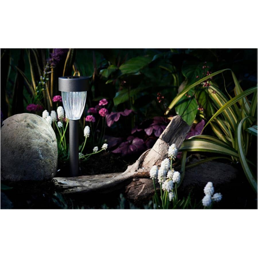 MOONRAYS Solar Garden Stake Light - Black | Home Hardware