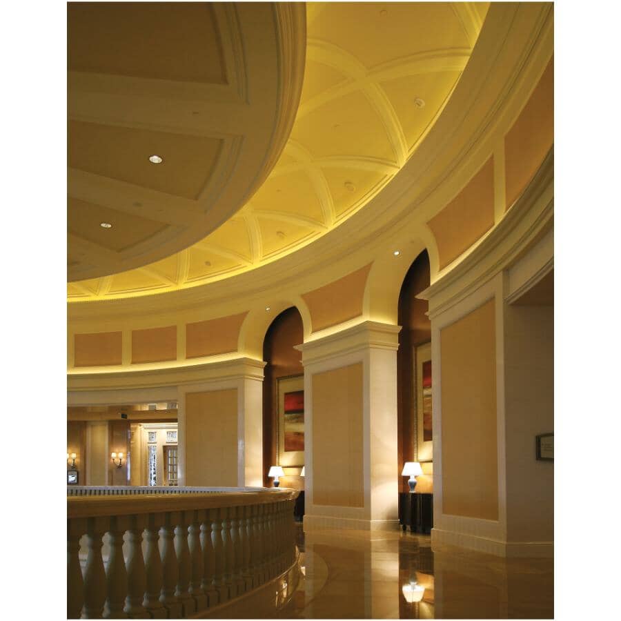 LITELINE Indoor/Outdoor Flexible LED Tape Light Fixture | Home Hardware