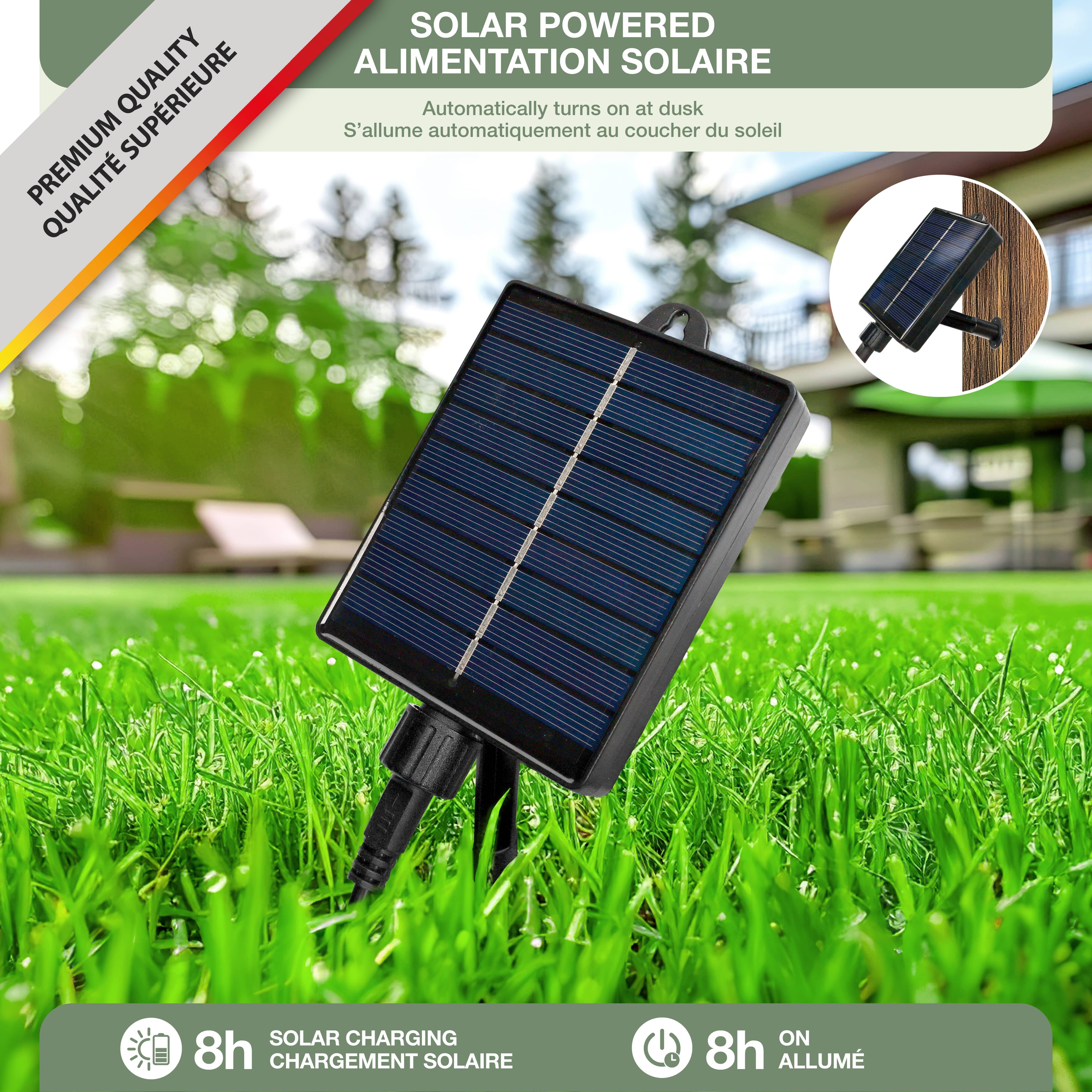 DANSON DECOR Solar Edison Light Set | Home Hardware