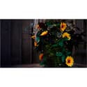 MOONRAYS Sunflower Garland Solar Light Set | Home Hardware