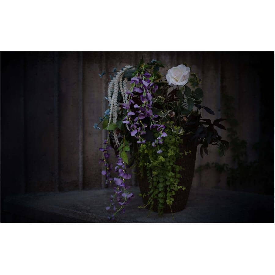 MOONRAYS Wisteria Solar Light Set | Home Hardware