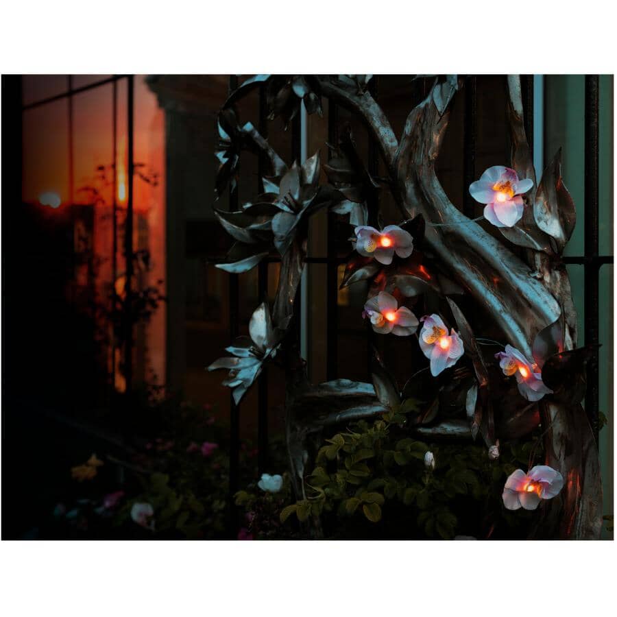 MOONRAYS Solar Orchid Flower Light Set | Home Hardware