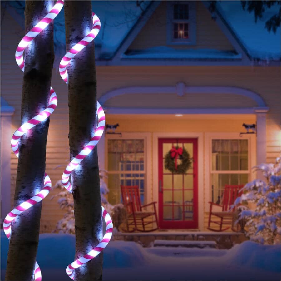 DANSON DECOR LED Round Rope Light | Home Hardware