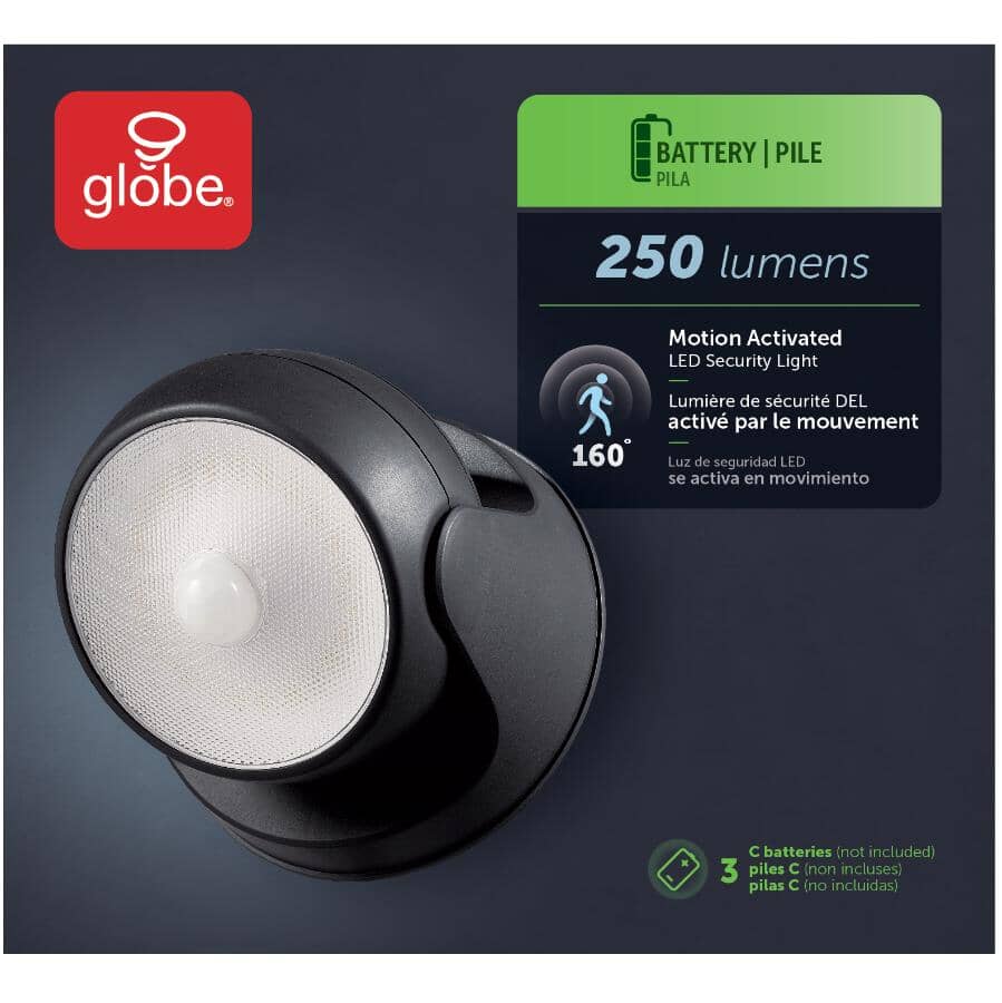 GLOBE ELECTRIC Dusk to Dawn Motion LED Orb Security Light | Home Hardware