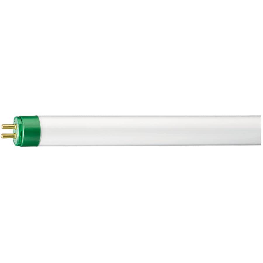 PHILIPS 54W T5 Mini Bi-Pin Cool White High Output Fluorescent Light ...