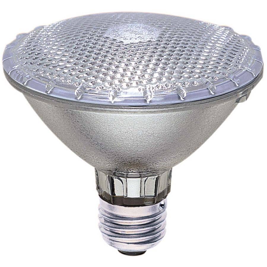 GLOBE ELECTRIC 75W PAR30 Medium Base Halogen Flood Light Bulb | Home Hardware