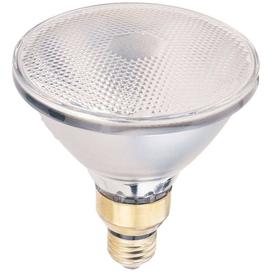 GLOBE ELECTRIC 39W PAR38 Medium Base Halogen Flood Light Bulbs | Home ...