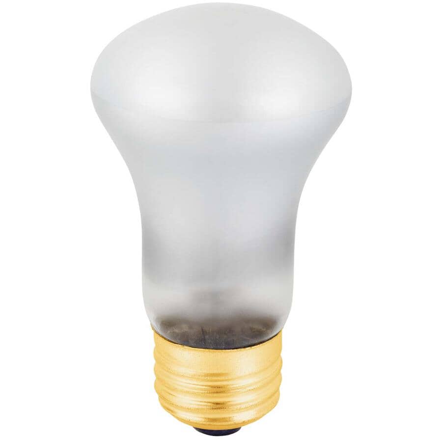 GLOBE ELECTRIC 60W R16 Medium Base Spot Light Bulbs | Home Hardware