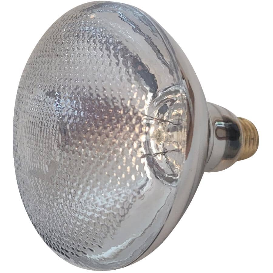 HOME ESSENTIALS 150W PAR38 Medium Base Clear Indoor & Outdoor Flood ...