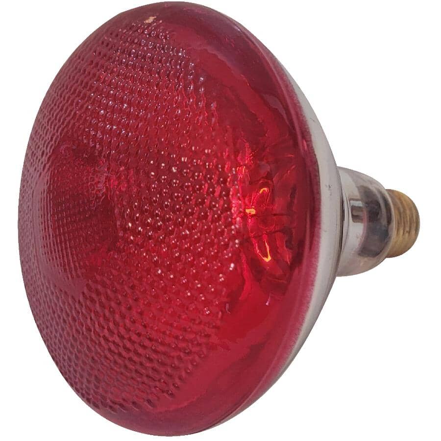 HOME ESSENTIALS 100W PAR38 Medium Base Red Indoor & Outdoor Flood Light ...