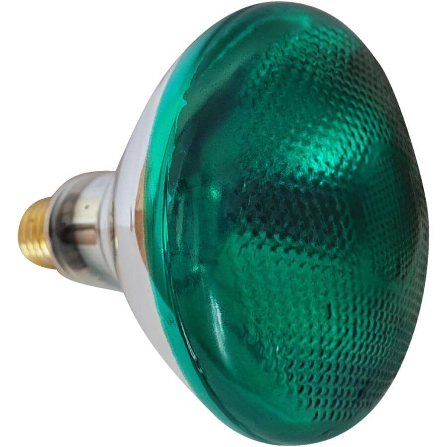 HOME ESSENTIALS 100W PAR38 Medium Base Green Indoor & Outdoor Flood ...