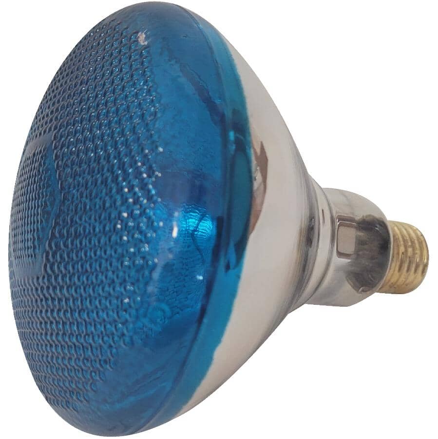 HOME ESSENTIALS 100W PAR38 Medium Base Blue Indoor & Outdoor Flood ...