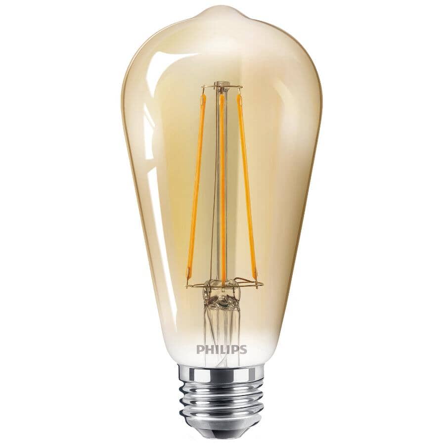 PHILIPS 5W ST19 Medium Base Amber Dimmable Vintage LED Light Bulb | Home Hardware