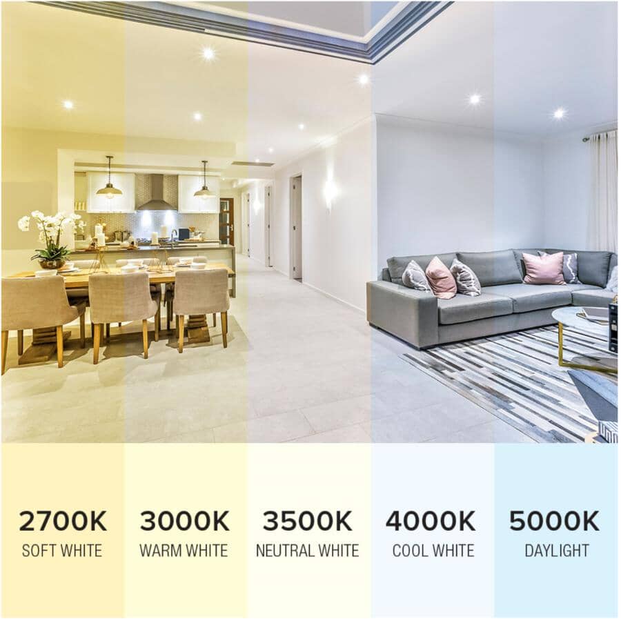 TRENZ LIGHTING Connected by WiZ Smart Room Controller Switch with Wi ...