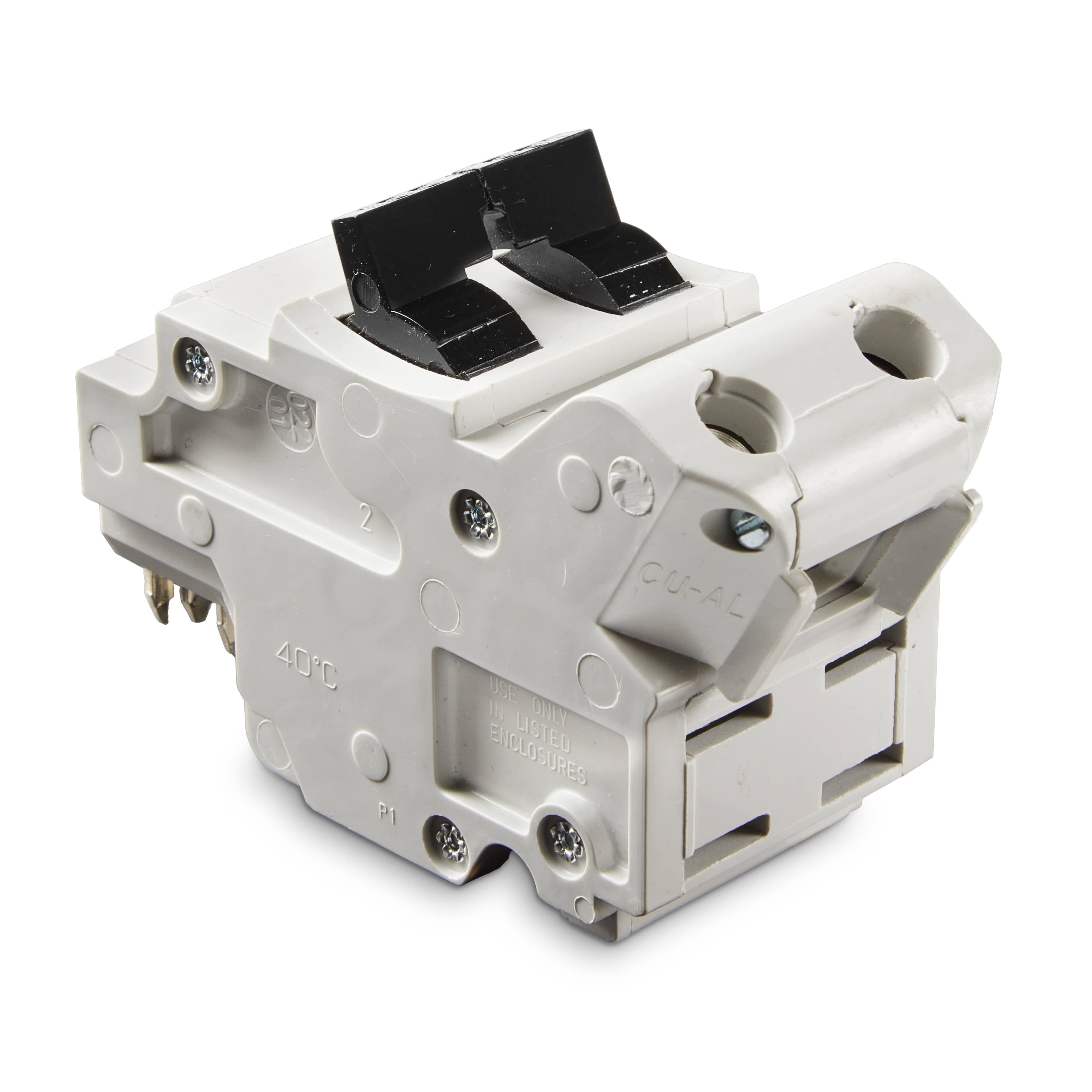 SCHNEIDER ELECTRIC Stab-lok 2 Pole 100 Amp Main Circuit Breaker | Home ...