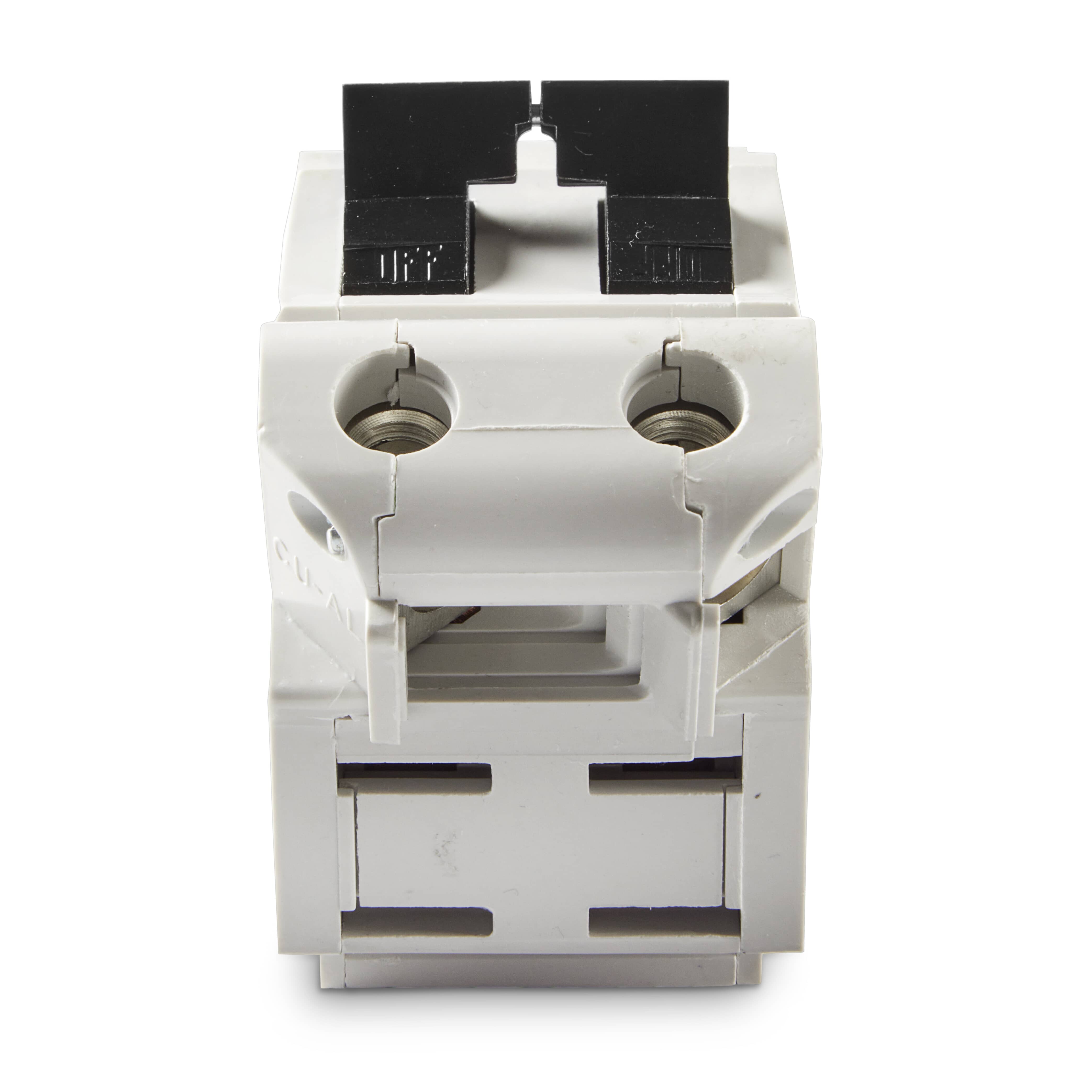 SCHNEIDER ELECTRIC Stab-lok 2 Pole 100 Amp Main Circuit Breaker | Home ...
