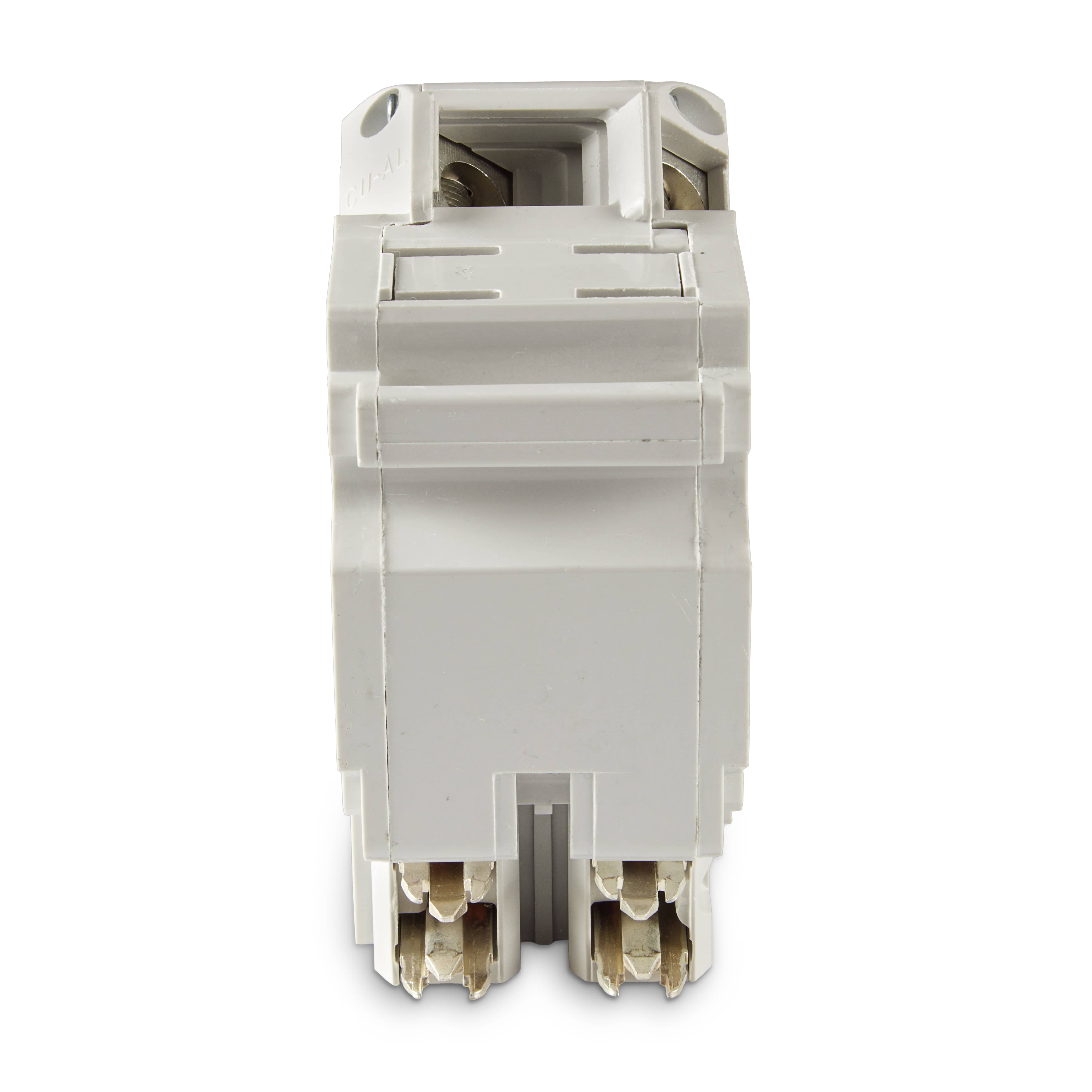 SCHNEIDER ELECTRIC Stab-lok 2 Pole 100 Amp Main Circuit Breaker | Home ...