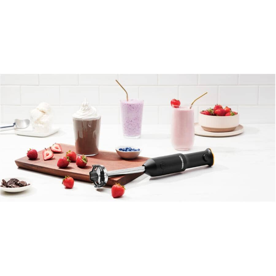 CHEFMAN Immersion Stick Hand Blender with Storage Case | Home Hardware