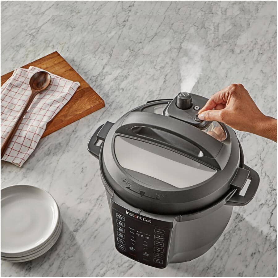 INSTANT POT RIO 6 Qt Multi-Cooker - Black | Home Hardware