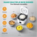 RICE ROBOT As Seen On TV Rice Robot | Home Hardware