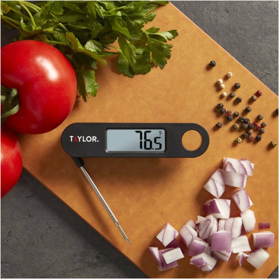 TAYLOR Folding Digital Probe Meat Thermometer | Home Hardware