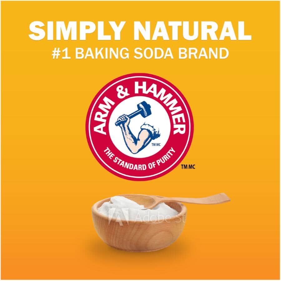 ARM & HAMMER Baking Soda - 500 g | Home Hardware