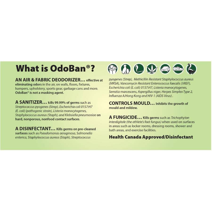 ODOBAN Disinfectant & Odour Eliminator | Home Hardware