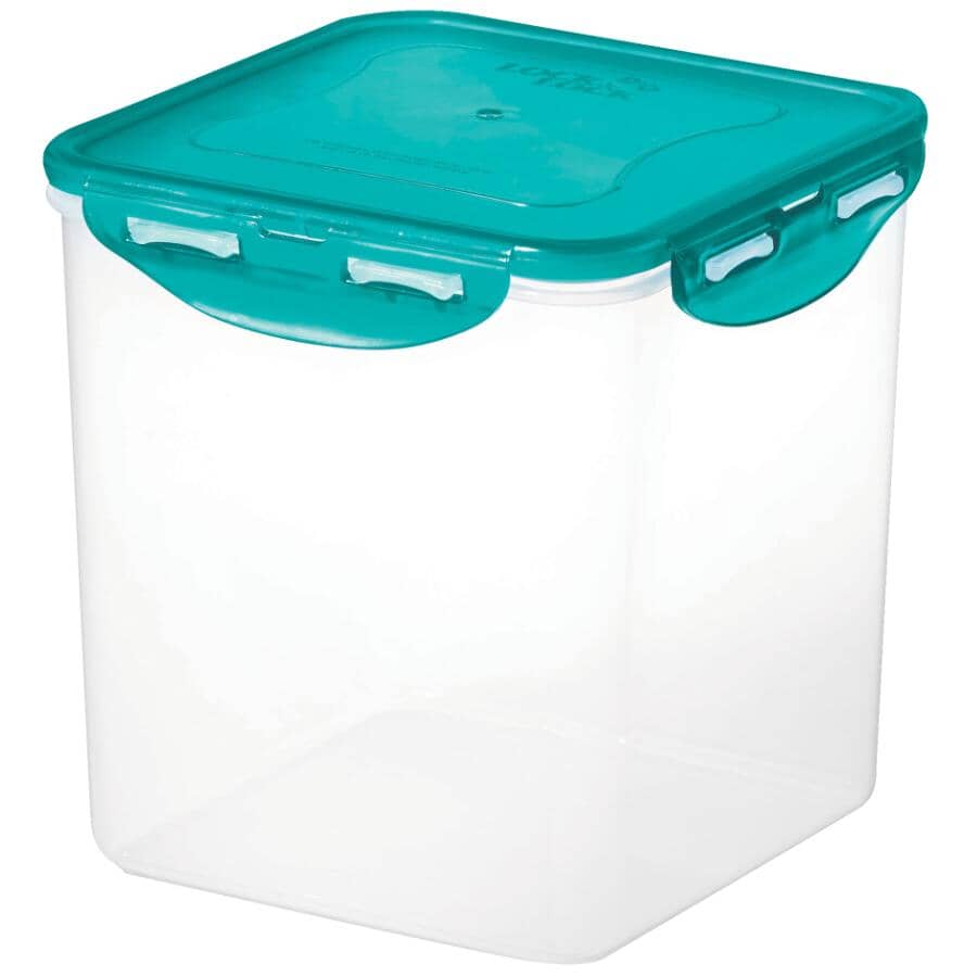 LOCK+LOCK Square Container - 2.6 L, Teal | Home Hardware