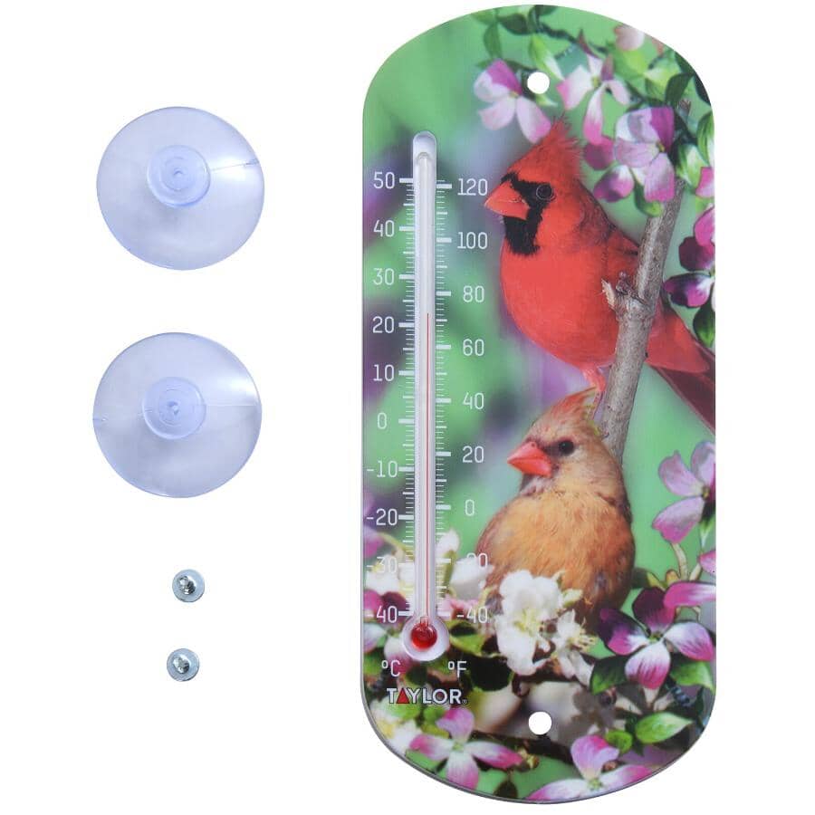 TAYLOR Cardinal Suction Window Thermometer | Home Hardware