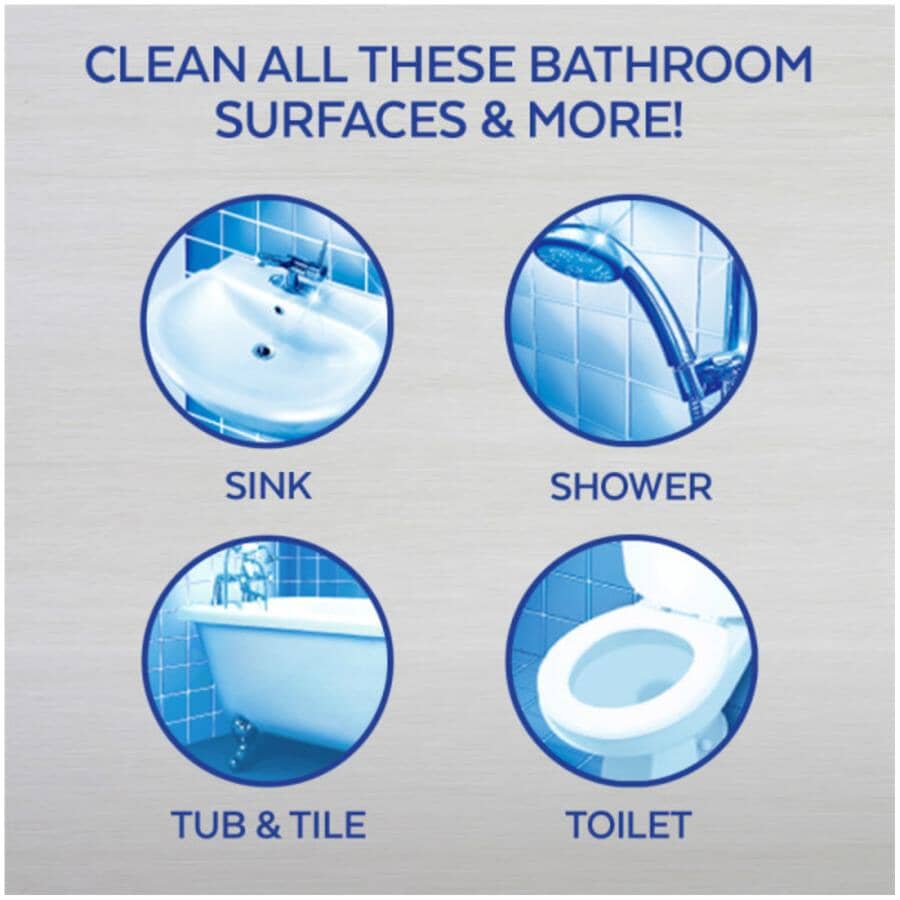 LYSOL 950mL Bleach Mold & Mildew Bathroom Cleaner | Home Hardware